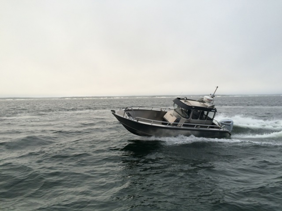 Arronet 24,5 CC | Honda Marine